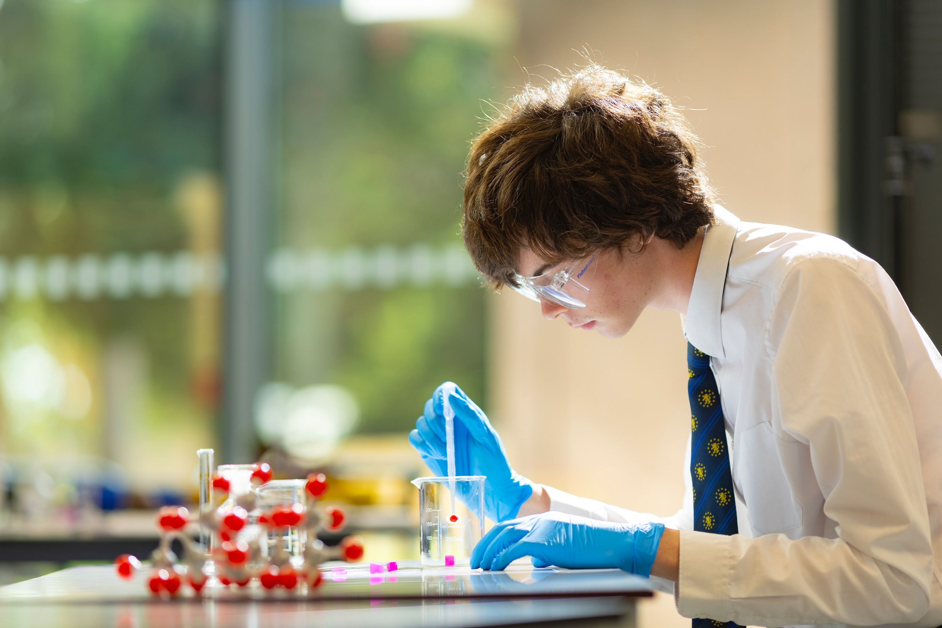 Welcome to the Sixth Form - Hockerill College