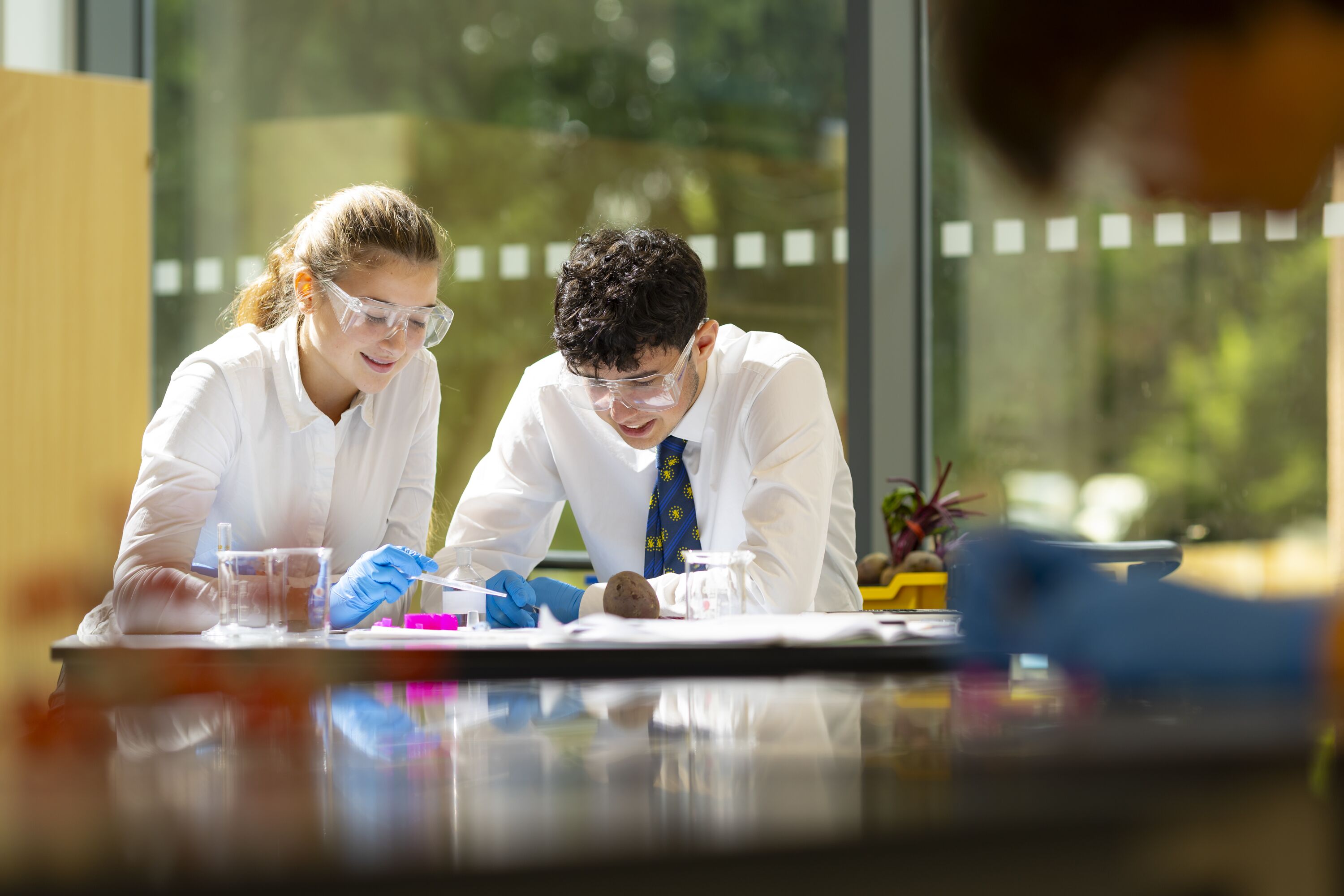 Welcome to the Sixth Form - Hockerill College